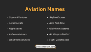 587+ Catchy Aviation Names Ideas You Must See! - Whiz Start