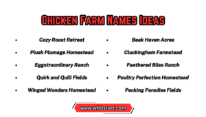 578+ Catchy Poultry Farm Names Ideas You Must Try - Whiz Start