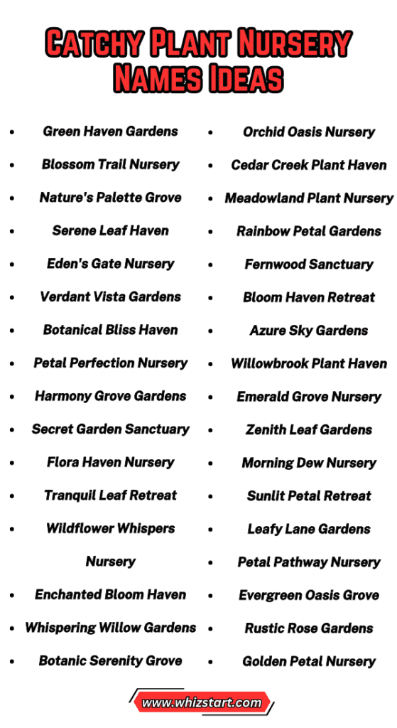 550+ Catchy and Cute Plant Nursery Names Ideas List - Whiz Start