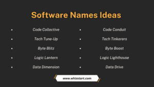 500+ Unique Software Company Names for Modern Tech Startups - Whiz Start