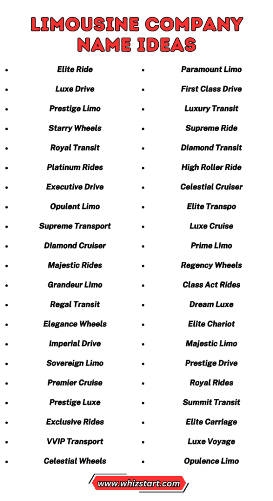 770+ Best Limousine Company Names that Sound Luxurious! - Whiz Start