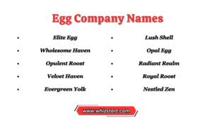 Funny Egg Business Names Ideas You Must Check! - Whiz Start