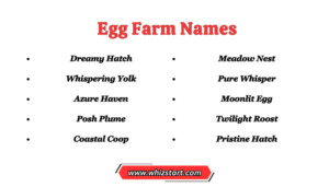 Funny Egg Business Names Ideas You Must Check! - Whiz Start