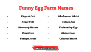 Funny Egg Business Names Ideas You Must Check! - Whiz Start
