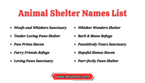 750+ Cute and Funny Animal Shelter Names Ideas - Whiz Start