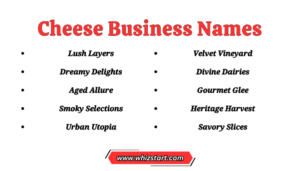 900+ Amazing Cheese Company Names Ideas for You! - Whiz Start