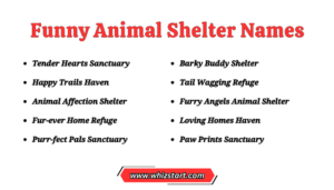 750+ Cute and Funny Animal Shelter Names Ideas - Whiz Start