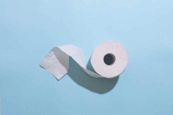 770+ Toilet Paper Brand Names Ideas that Sounds Comfort! - Whiz Start