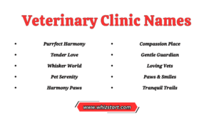 880+ Funny Vet Clinic Names Ideas to Attract Clients! - Whiz Start