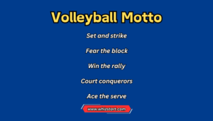 310+ Catchy Volleyball Slogans and Phrases to Motivate Team - Whiz Start