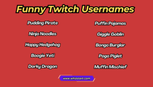 300+ Twitch Usernames for Streamers: Unique and Catchy Ideas - Whiz Start