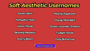 Top Aesthetic Usernames for Instagram: Trendy and Inspiring - Whiz Start