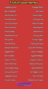 300+ Twitch Usernames for Streamers: Unique and Catchy Ideas - Whiz Start