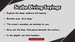 110+ Top Scuba Diving Slogans to Celebrate Ocean Exploration - Whiz Start