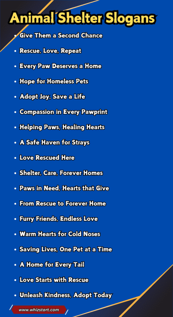 99+ Heartwarming Animal Shelter Slogans That Melt Hearts - Whiz Start