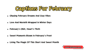 50+ Perfect February Captions for Every Mood and Moment - Whiz Start